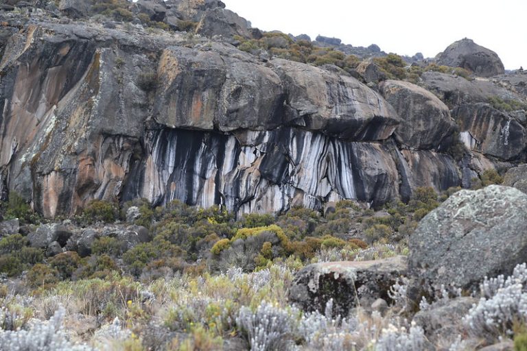 Zebra Rocks, Mount Kilimanjaro