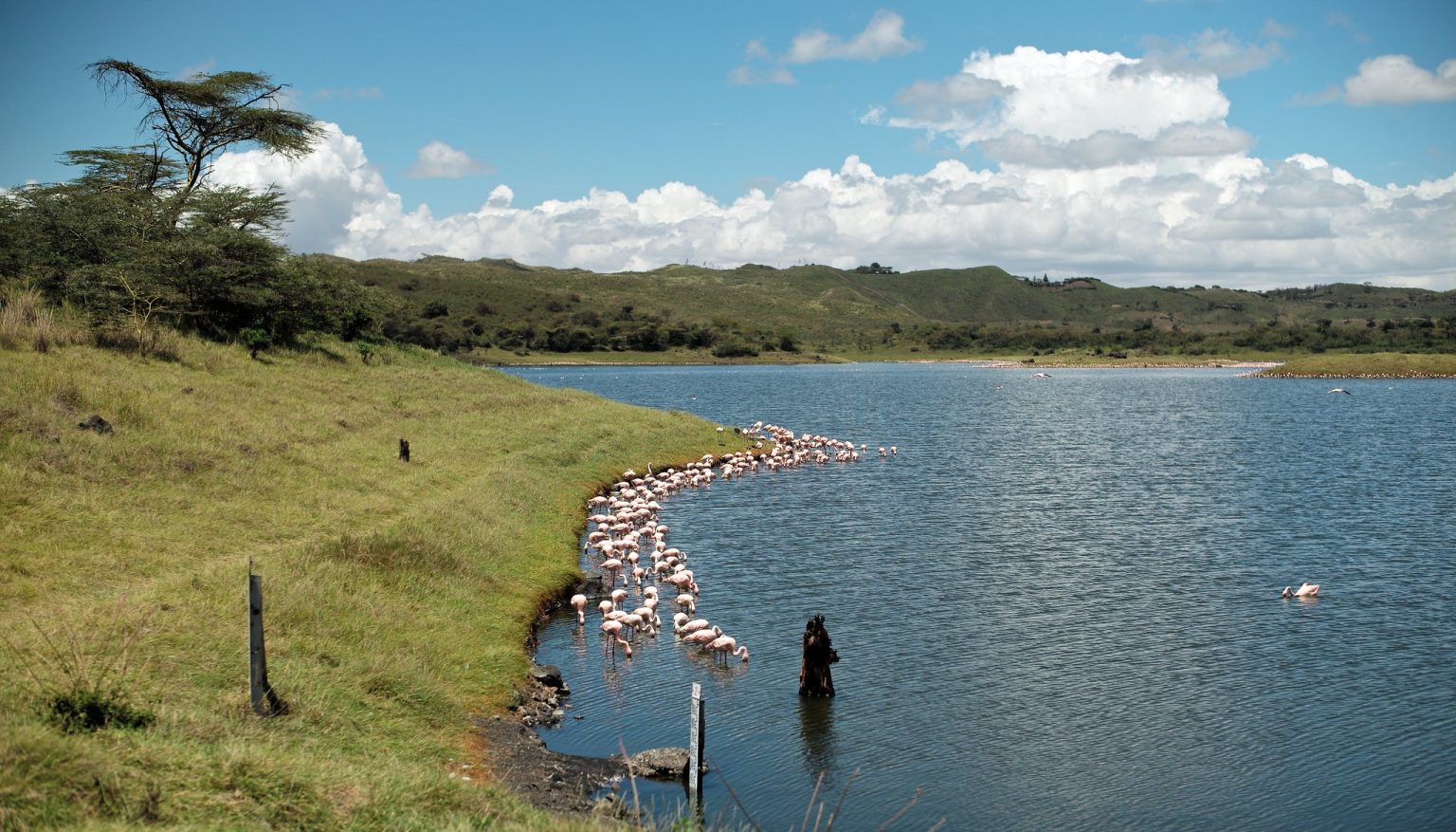 Momella Lakes Viewpoint