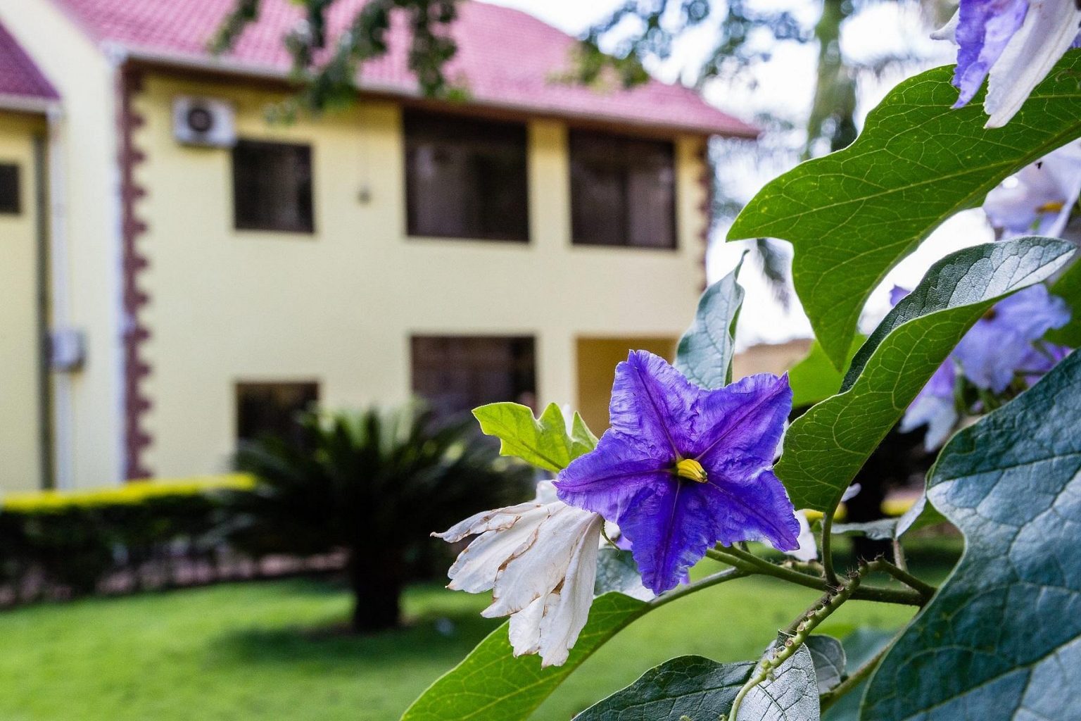 Altezza Lodge by Altezza Travel | Moshi, Kilimanjaro Accommodation