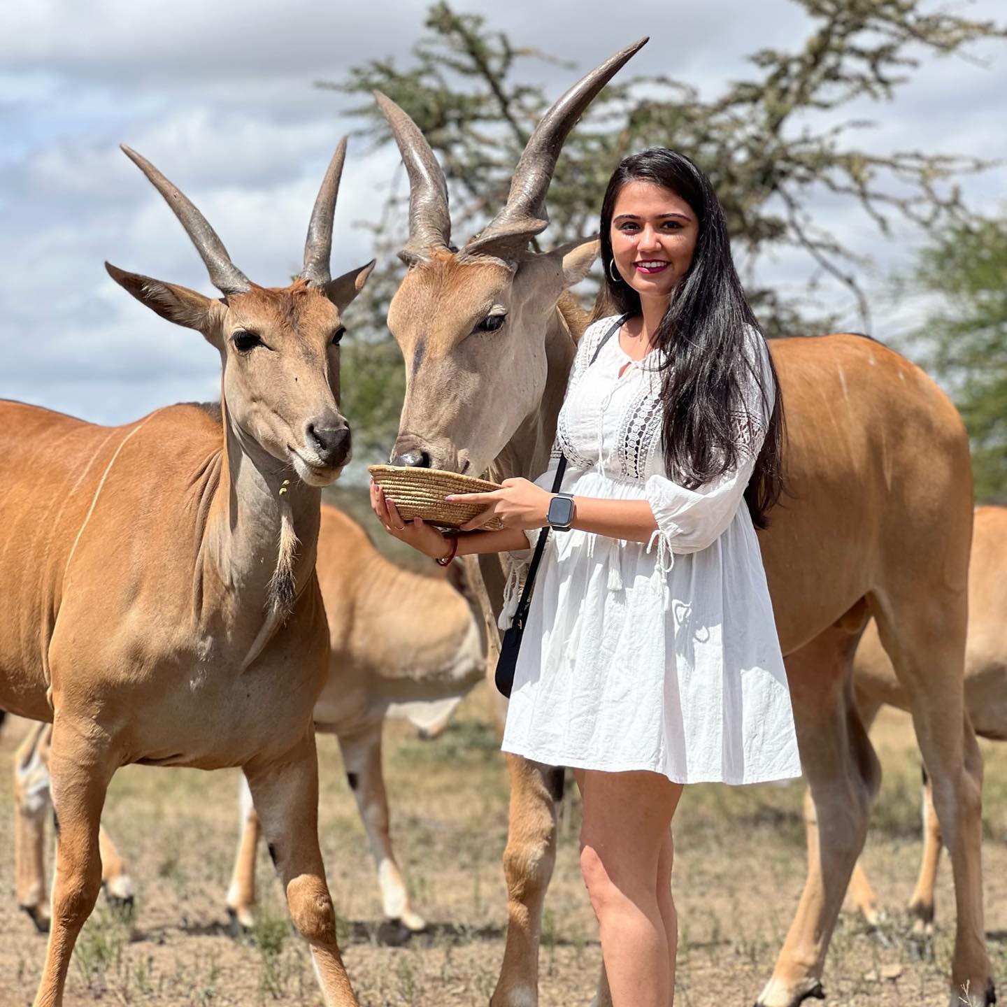 Visit Serval Wildlife Sanctuary in Tanzania