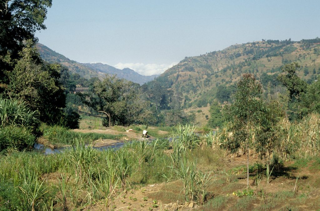 6 Days Usambara Hiking