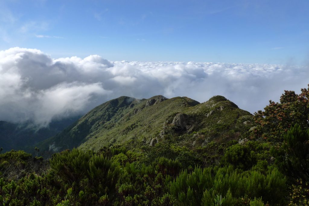 2 Days Mount Hanang Trek