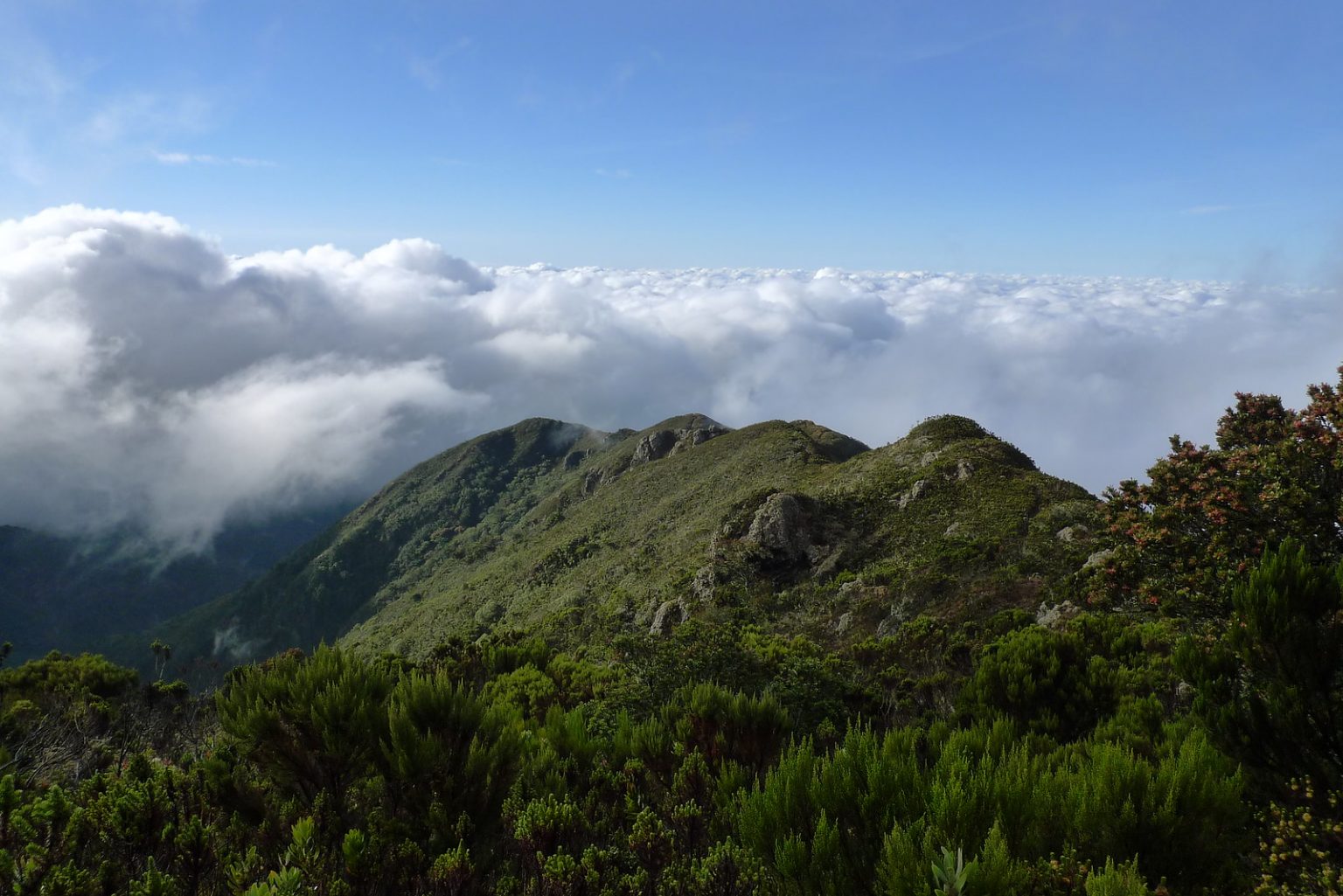 2 Days Mount Hanang Trek