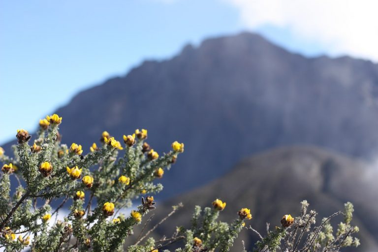 Point Lenana Peak