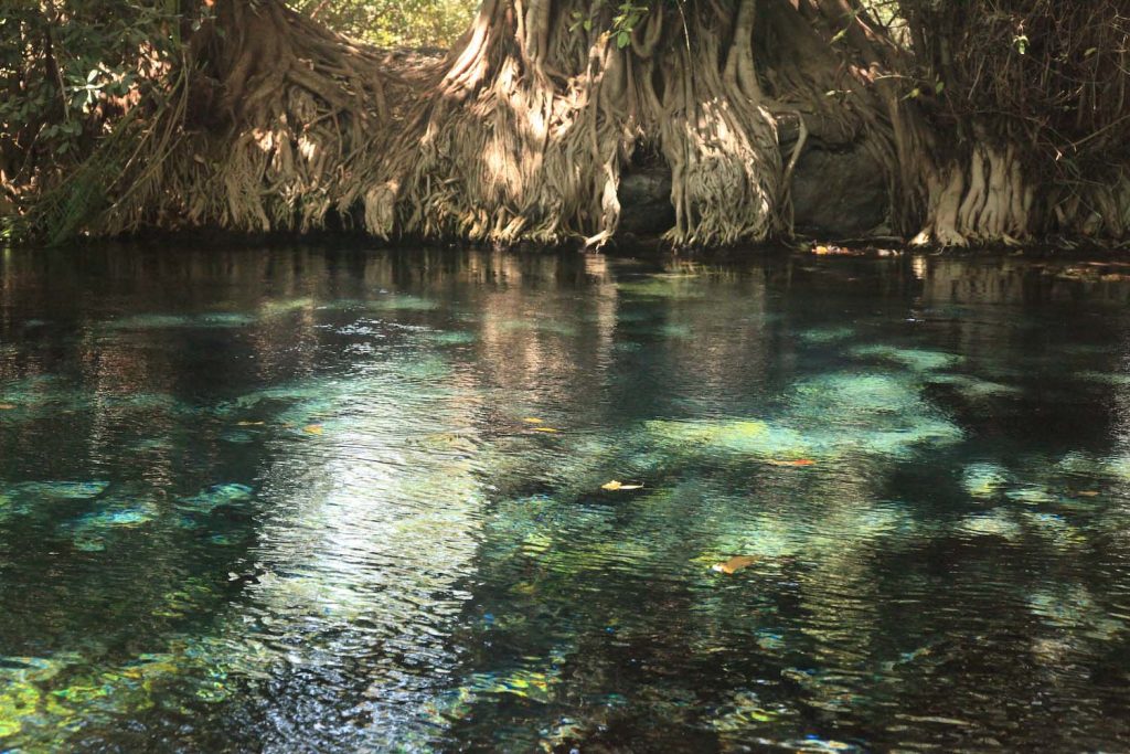 Kikuletwa or Chemka Hot Springs Day Tour (Maji Moto)