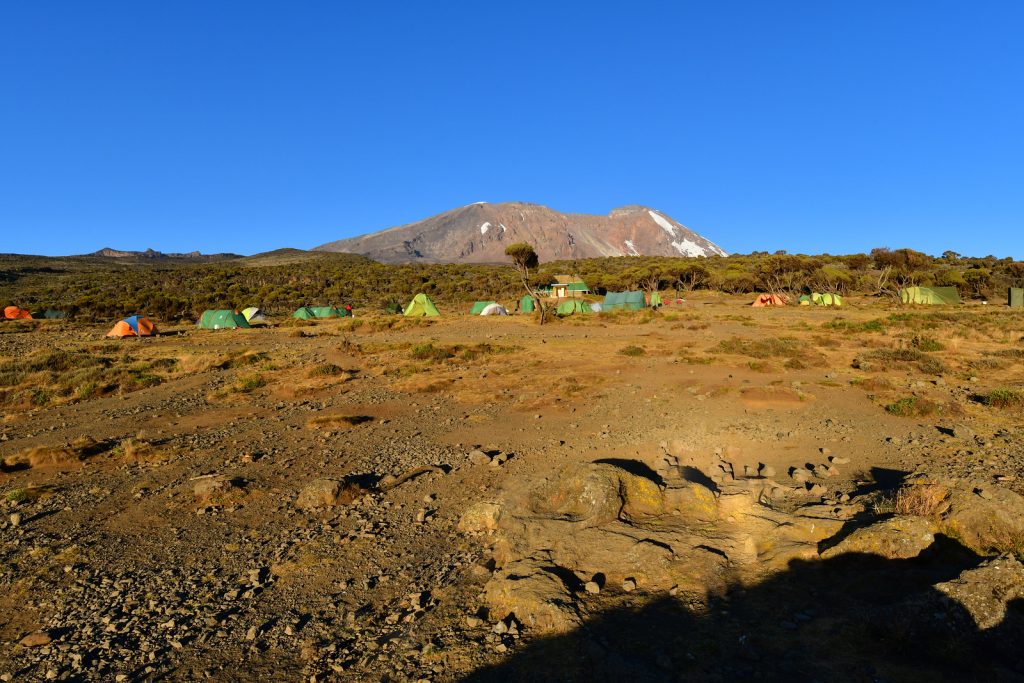 7 Days Shira Route Itinerary - Climbing Kilimanjaro