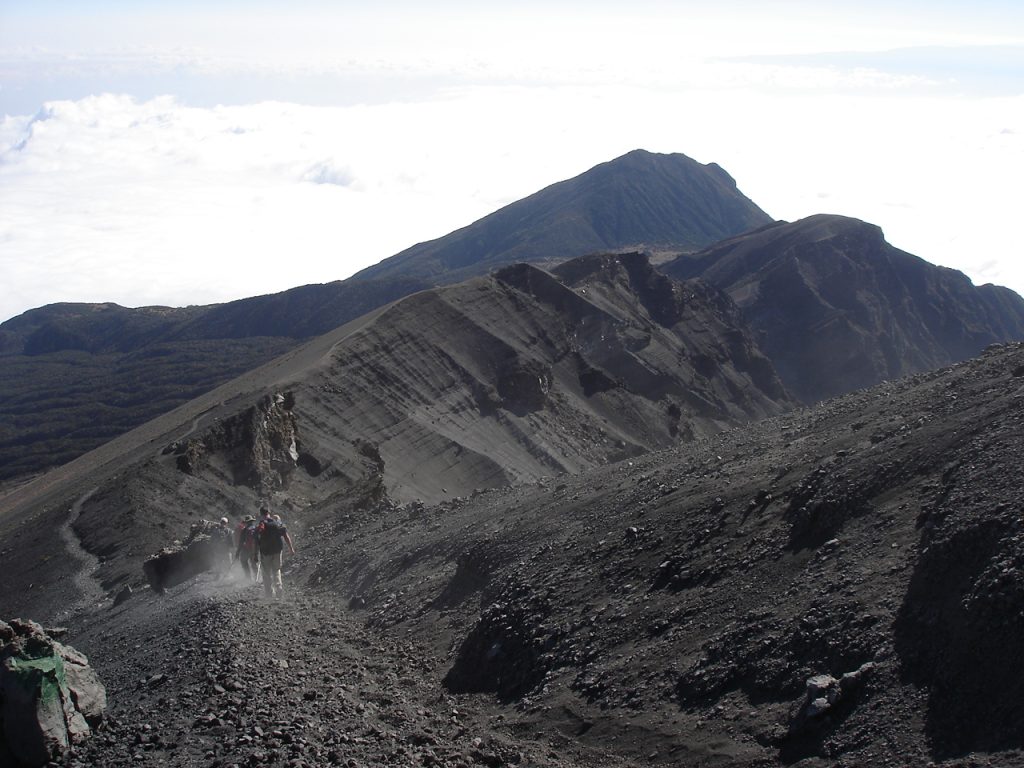 Rhino Point
