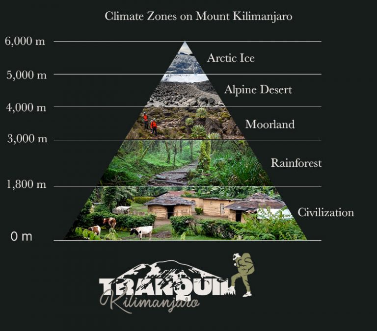 A comprehensive guide to climbing Mount Kilimanjaro