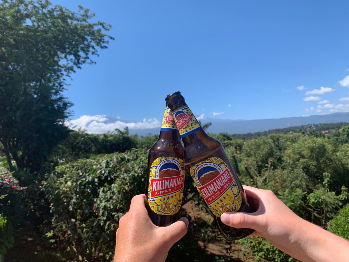Best Tanzanian Beers to refresh after climbing Mount Kilimanjaro