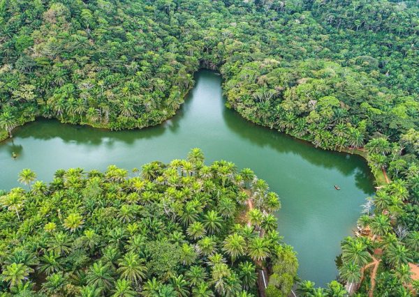 The Magoroto Forest Hiking and Camping Experience