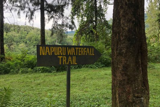 Napuru Waterfalls in Mount Meru and Picnic Site in Arusha