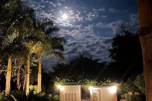 Chanya Lodge, Moshi, Tanzania | Mount Kilimanjaro Hotels