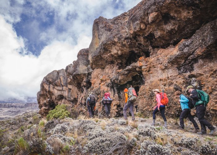 Lemosho Route | Best Route to climb Mount Kilimanjaro