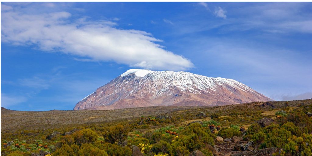 Why is Lemosho route the best favorite among the Kilimanjaro routes?