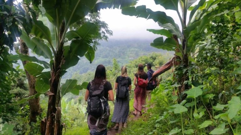 Hike to Kwa Mambori Waterfalls in Old Moshi