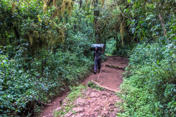 5 Days Marangu Route