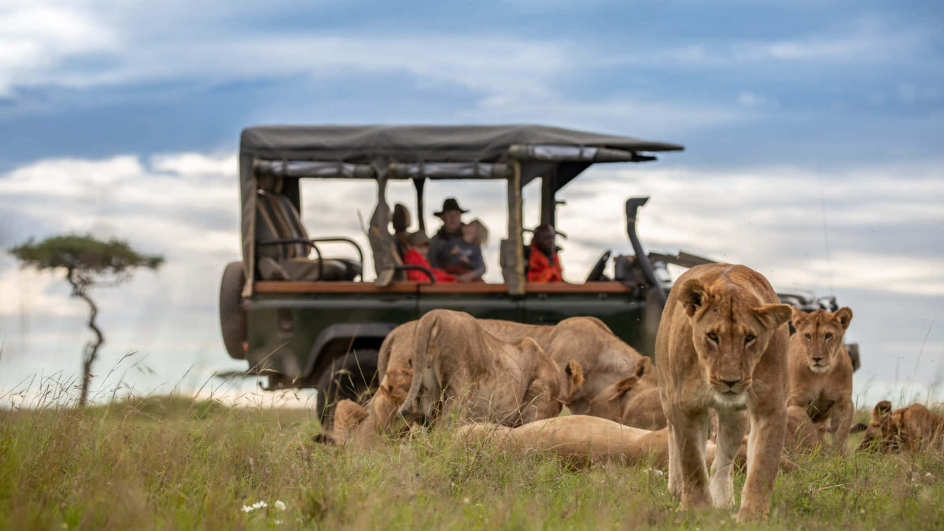 4 Days Masai Mara Safari From Nairobi 4 Days Masai Mara Safari From Nairobi