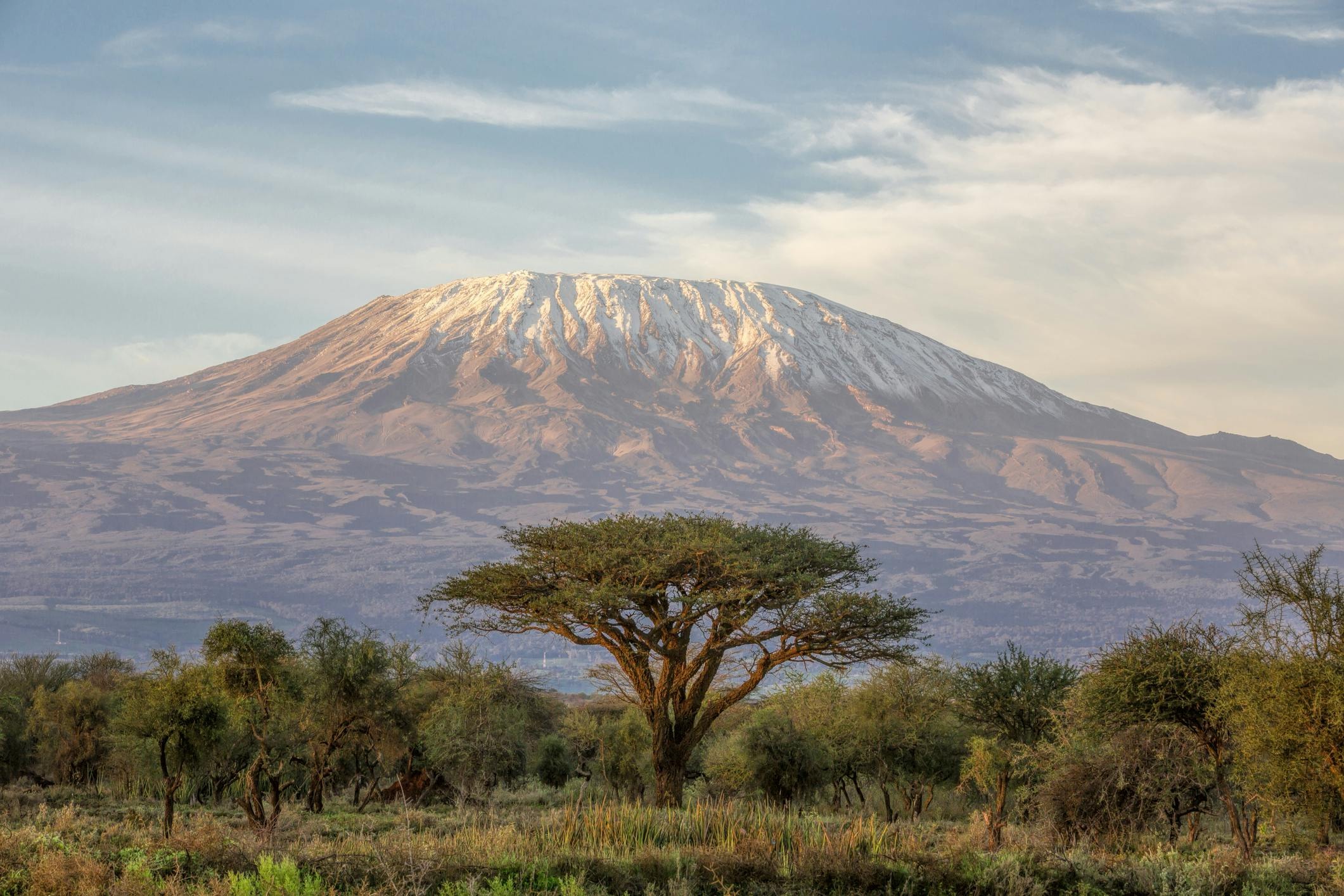Mlima Kilimanjaro: How Mount Kilimanjaro sounds in different languages ...