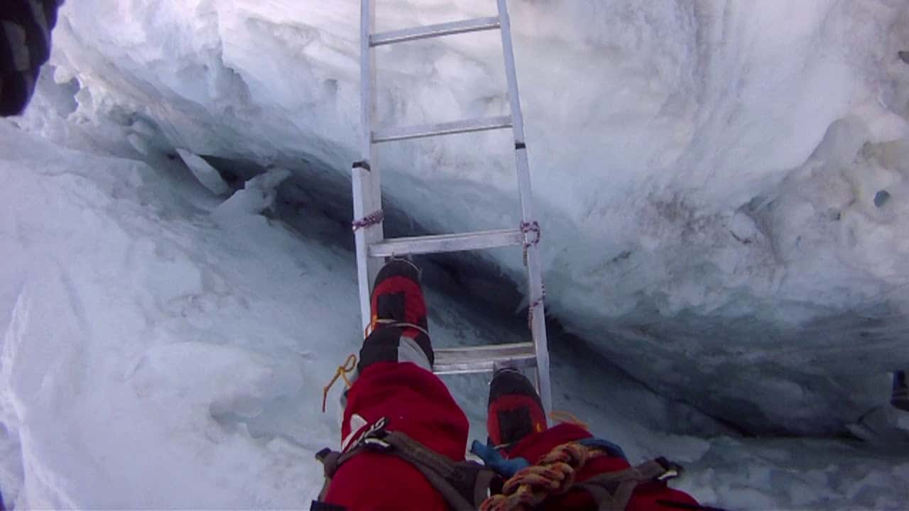 Hannelore Schmatz Hair