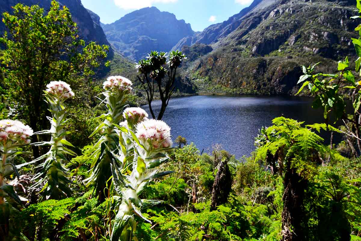 The Ecological / Vegetation Zones of the Rwenzori Mountains
