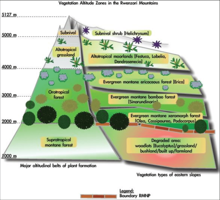 The Ecological / Vegetation Zones of the Rwenzori Mountains