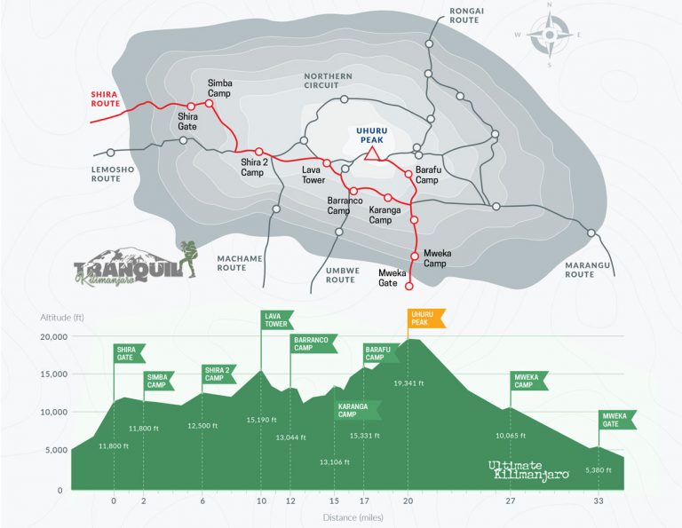 One Day Hike on Kilimanjaro to Shira Plateau
