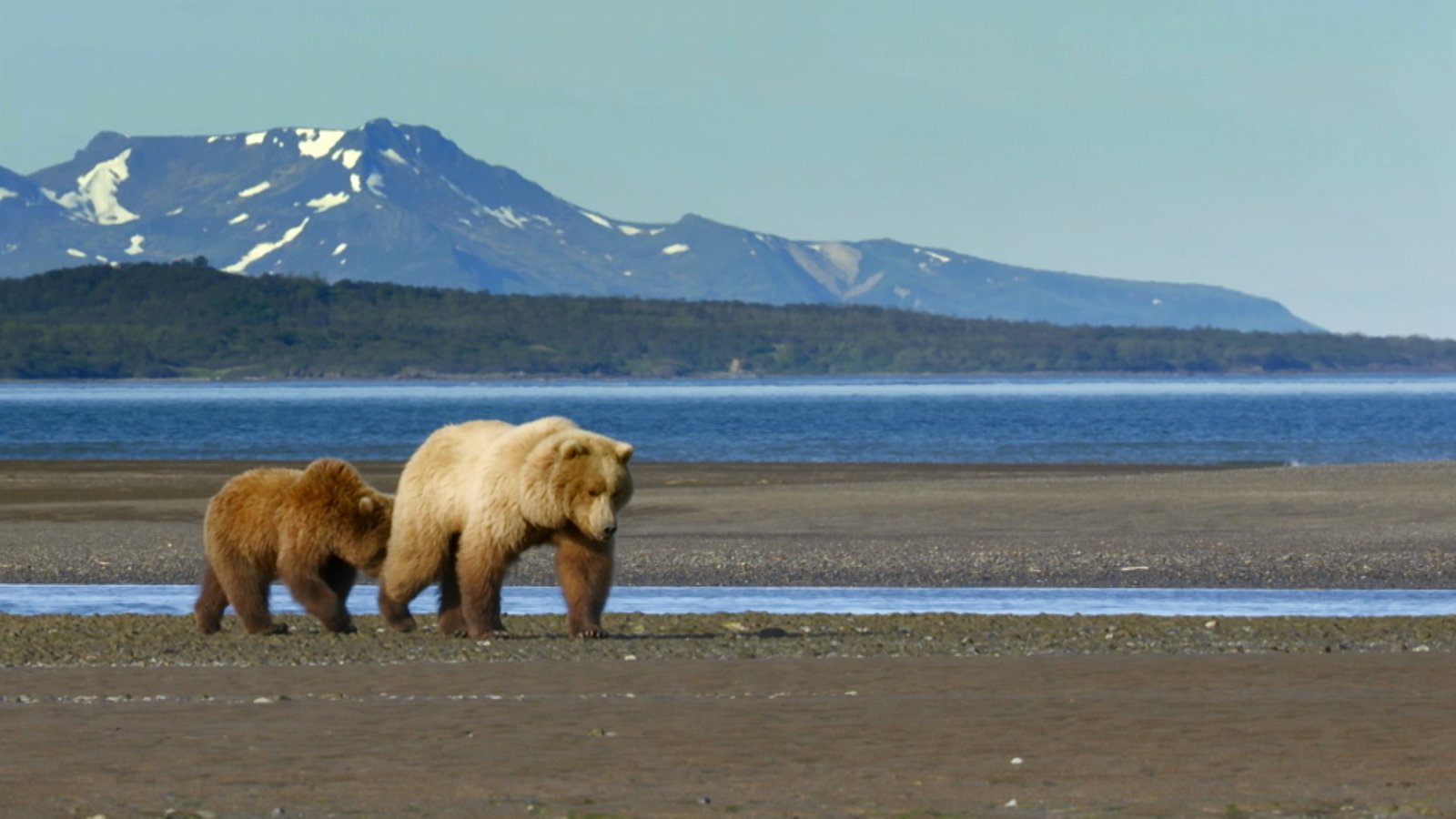 The Alaska Range: A Majestic Mountain Range in the Wild Wild Alaska